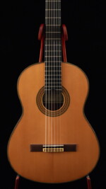 YAMAHA GD-20 2001年製 インドローズ 良品 | Precious Guitar